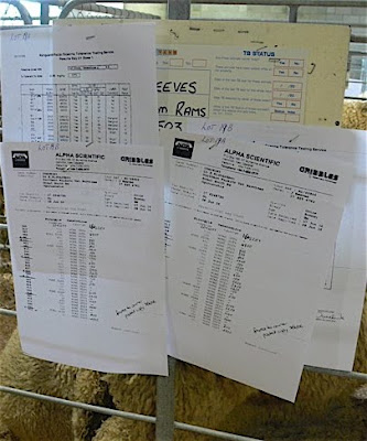 Woolshed 1: Breeding sheep to eliminate dags and worms. 5.