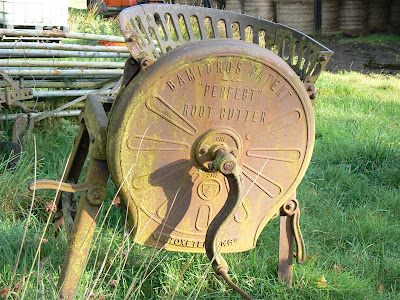 Woolshed 1: Daft Laddies – Singlin tornips