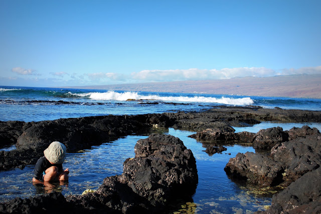 Zach Aboard: Turtle Tide Pool