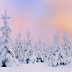 computer wallpapers: Beautiful Winterscape Wallpapers