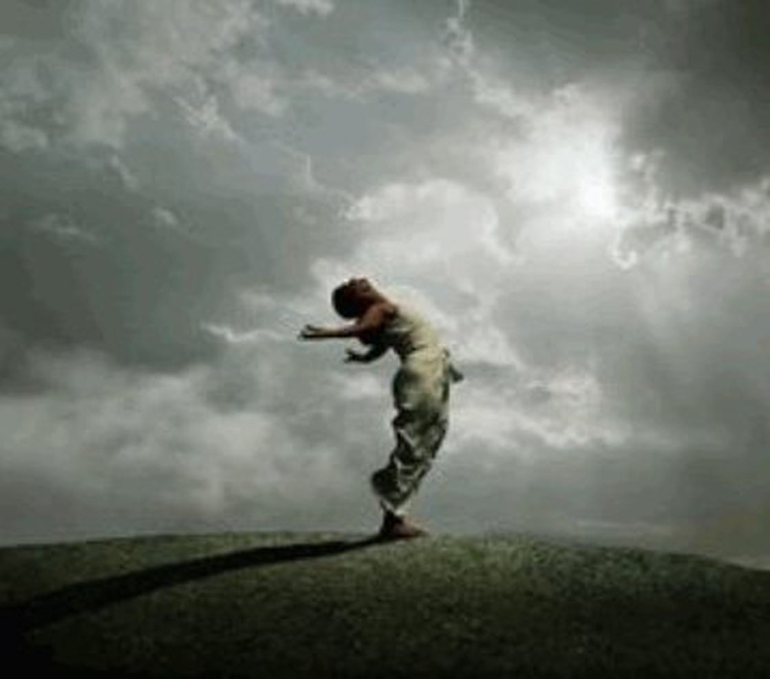 Diario de un hada: la vida es lucha