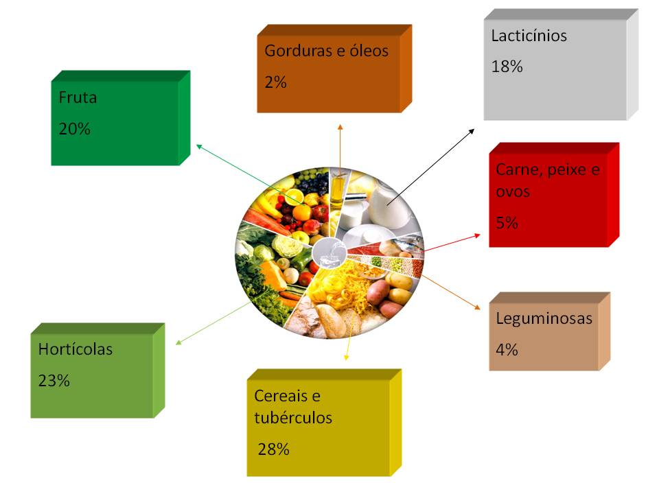 Os alimentos como veículo de nutrientes - Blogue das Ciências