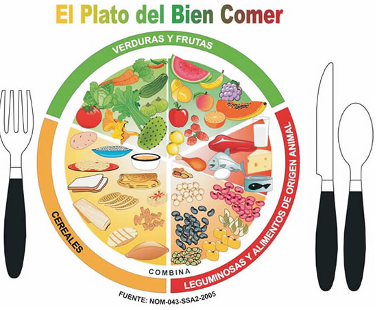 Alimentación correcta: Alimentación correcta