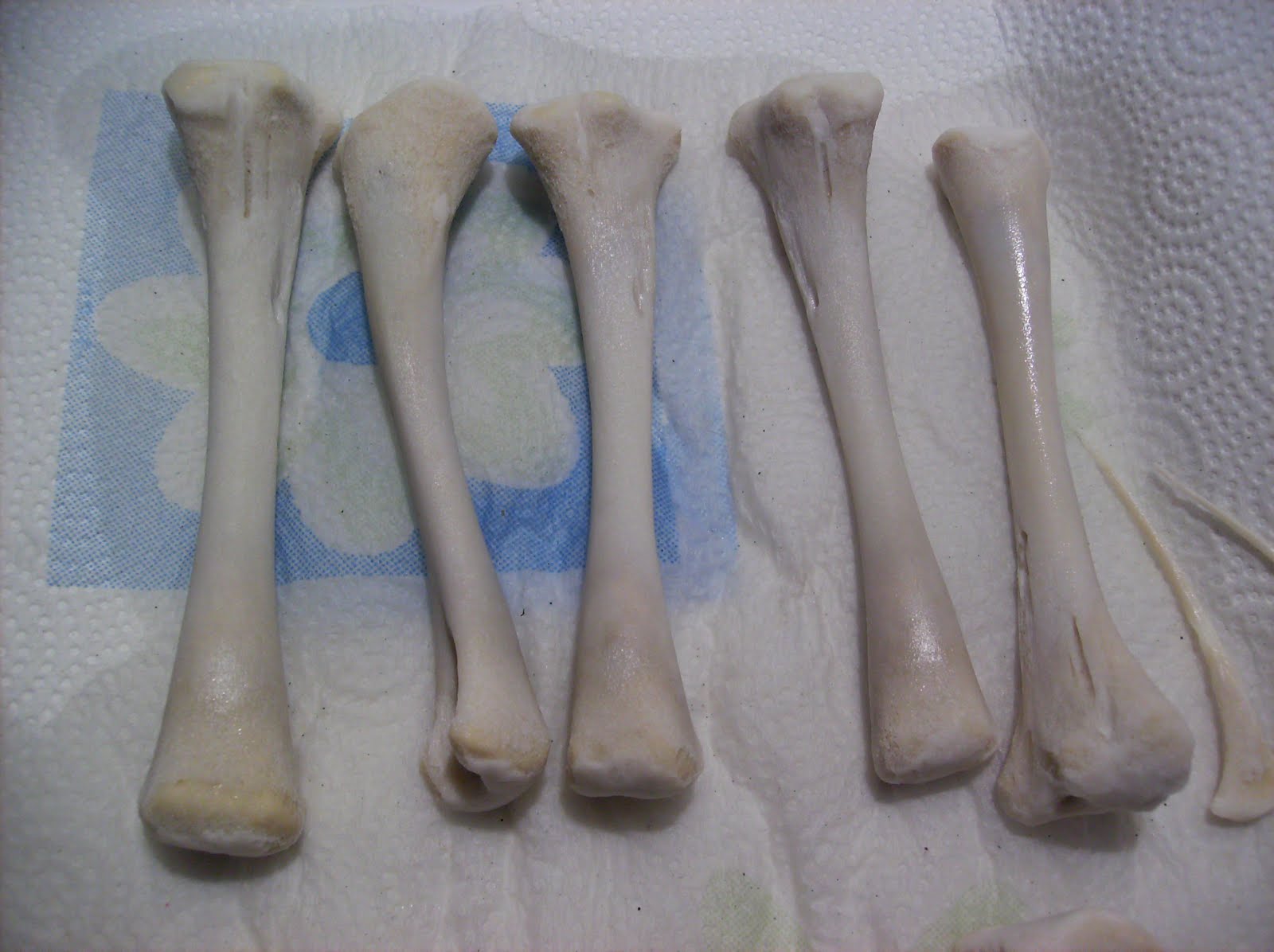 Crafty Mommy and Me: Hauntingly Fun