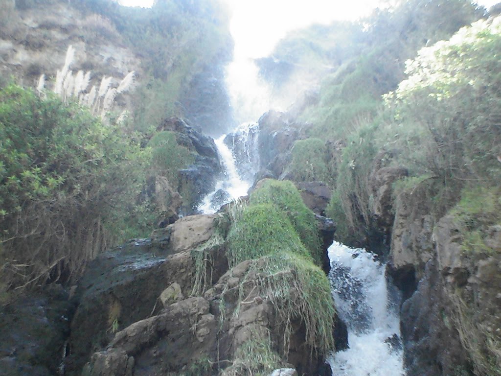 Bioturismo "Naturaleza": Canta Lima