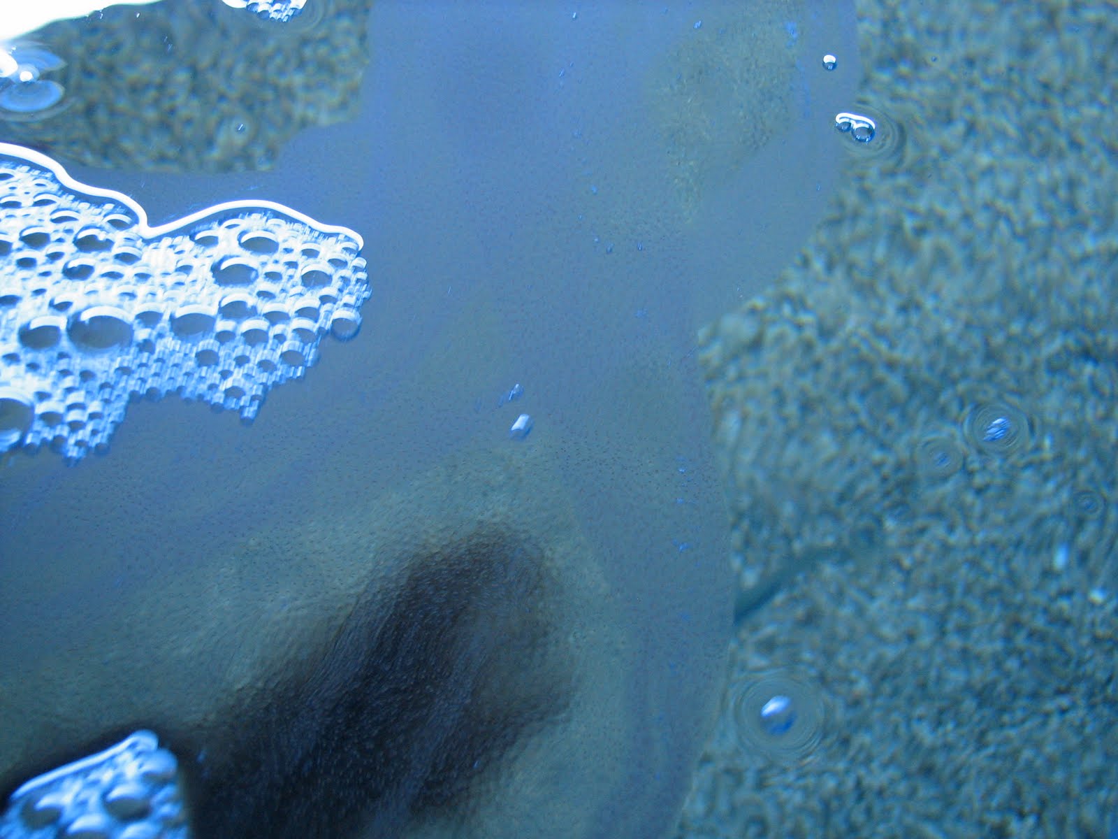 Exhibit Galleries Blog