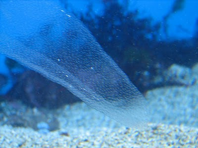 Exhibit Galleries Blog