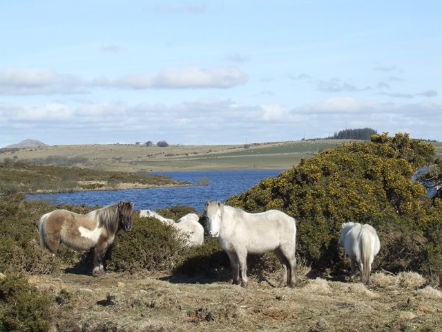 St. Cuthman of Steyning | CURTHREE
