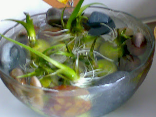 秘密 Secrets~ ♥: Ngaku