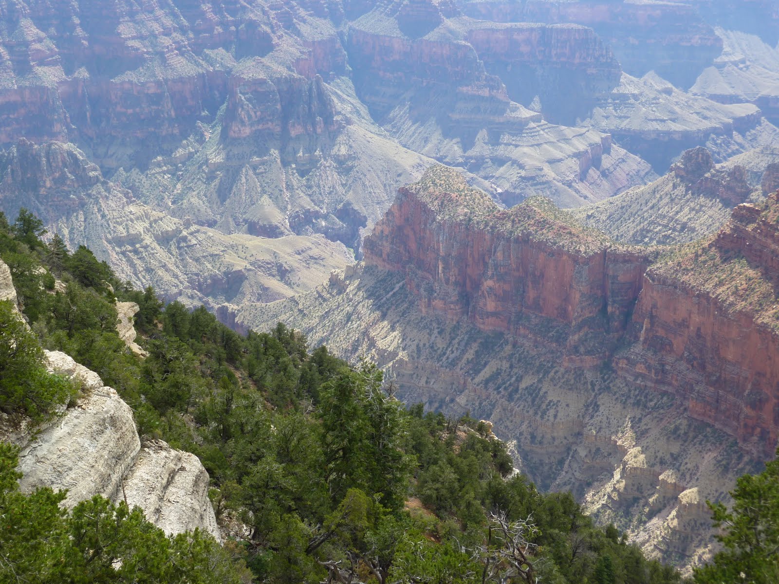 On the Road Again: Grand Canyon North Rim,Cameron Arizona