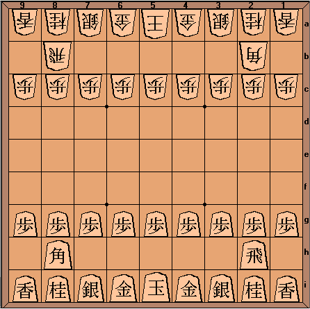 Japan student exchange blog: Sightseeing and Shogi