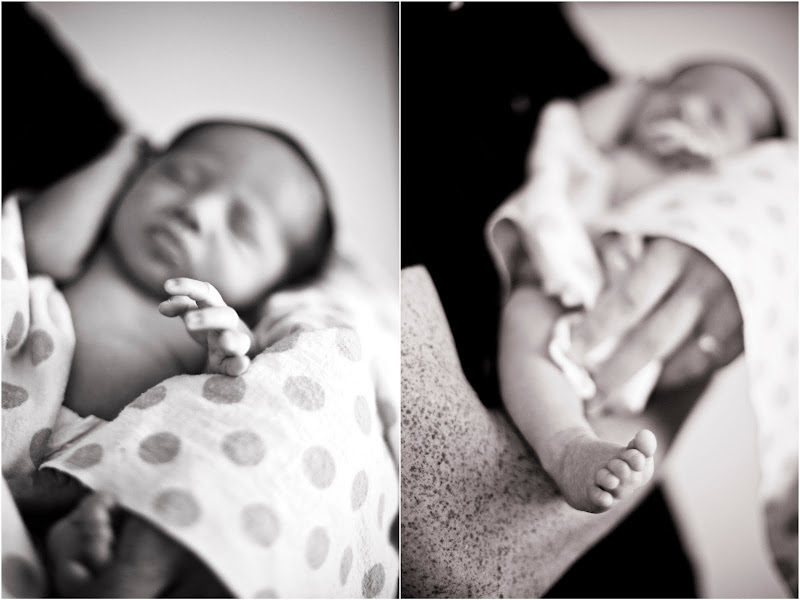 Lillie's Photo Blog: Baby Jackson