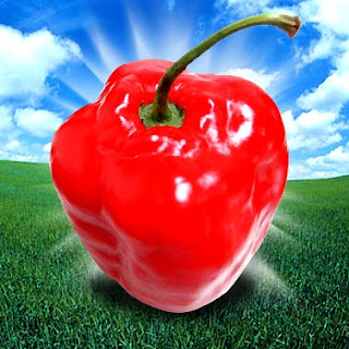 vida y cultura: el rocoto