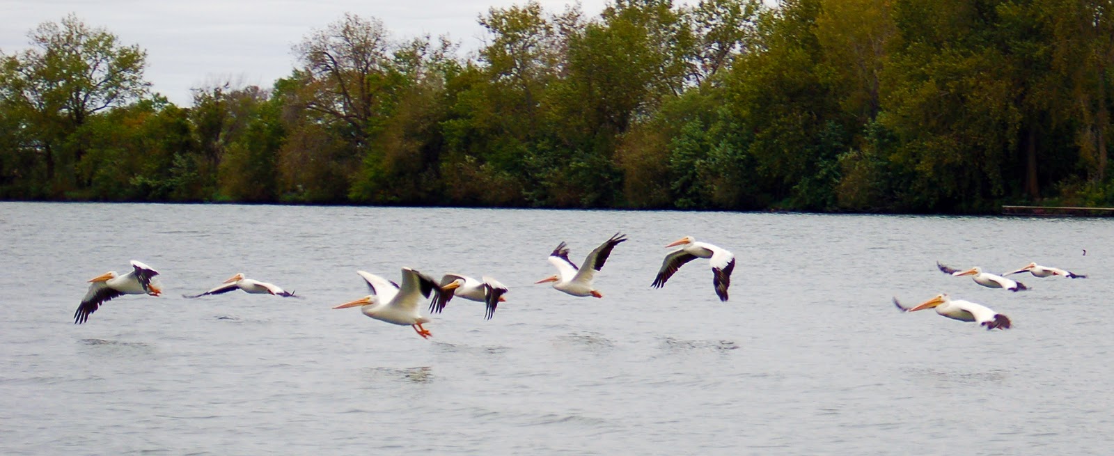 Silver Lake in Palo Alto County ~ Iowa