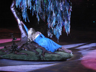 Barbara's Blog: Disney On Ice Sleeping Beauty.