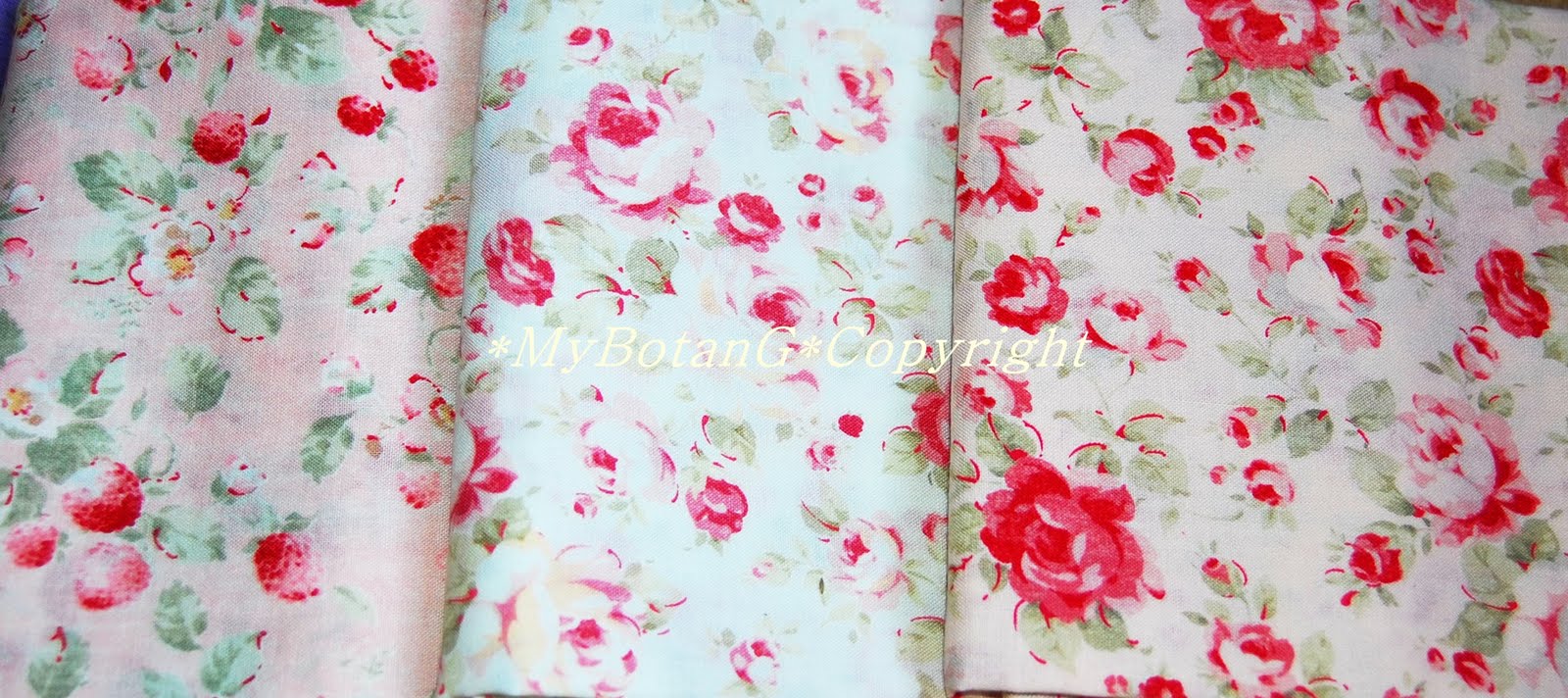 MyBotang : In love with LECIEN