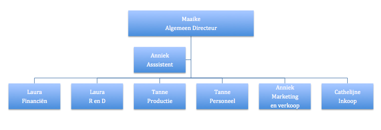 Newtech BV.: Organogram