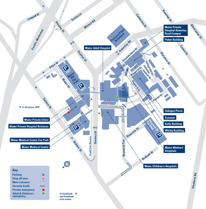 BIRTH ACTION NEWS: June 2010