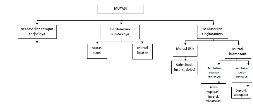 I ♥ BIOLOGY: MUTASI