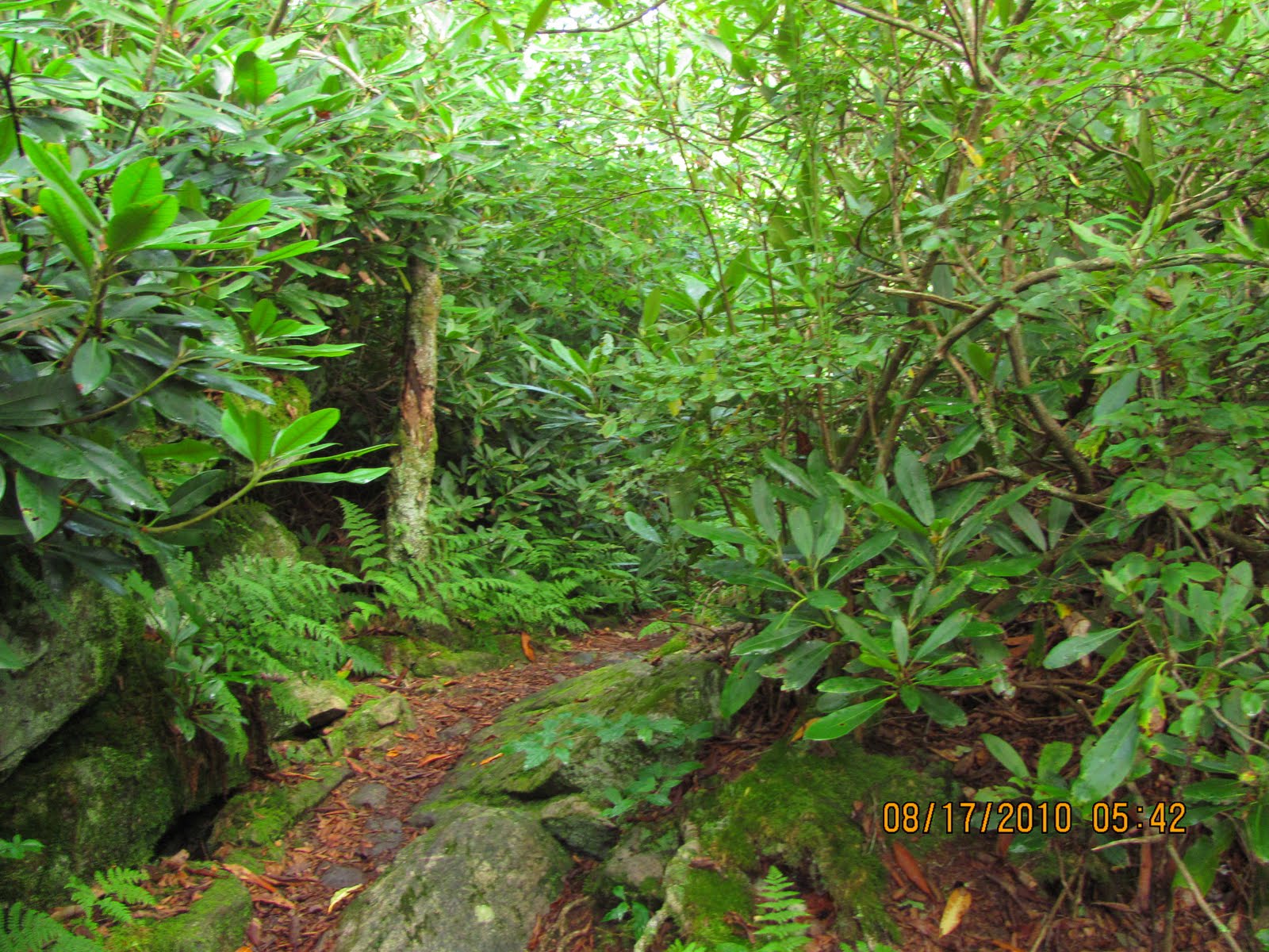 A Long Walk: Daily Diaries (8/17/10 - 8/18/10)