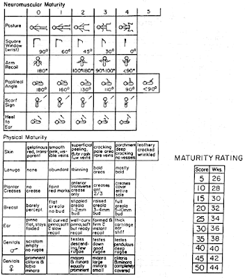ENFERMERAS PERU: Enfermeras - Enfermeros - Enfermería Web: SCORE ...