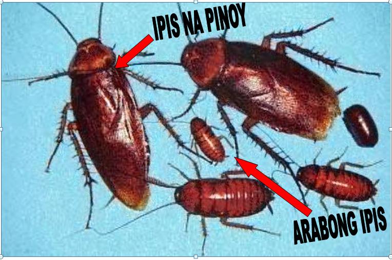 DRAKE'S ROOM: GYERA NA KUNG GYERA!!!