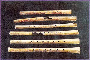 Wings of Freedom: Chinese flute