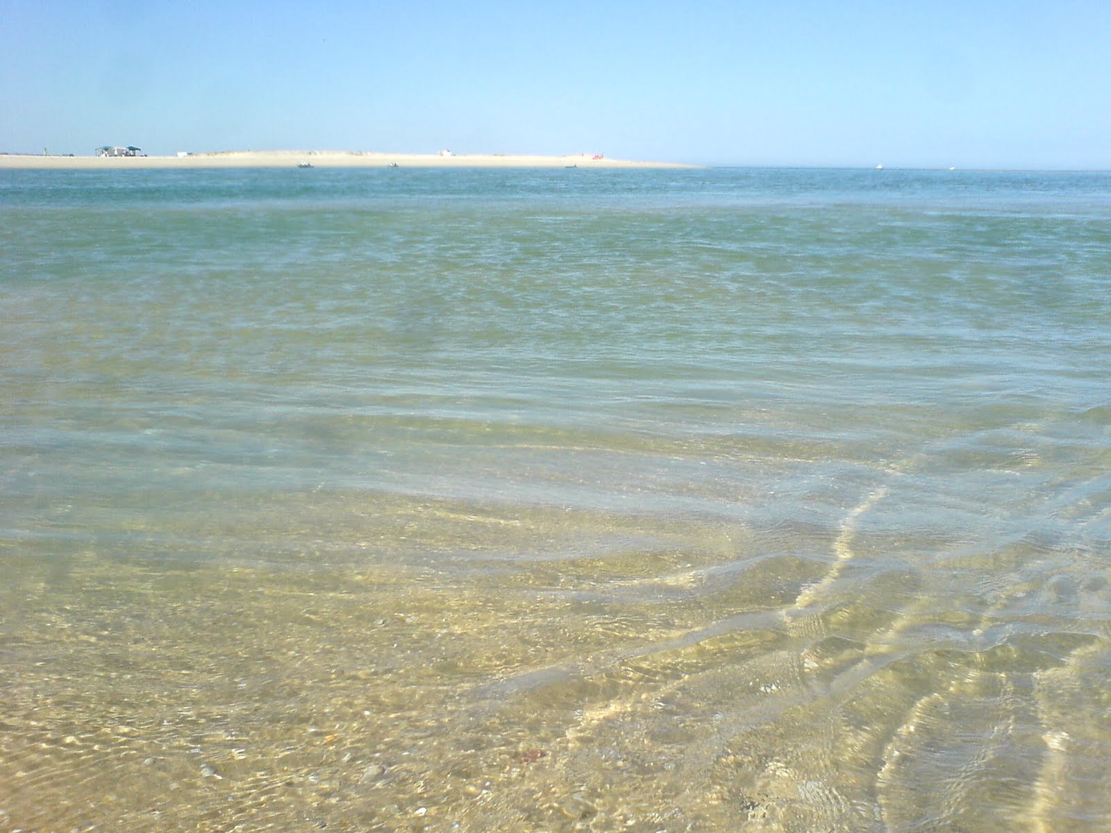 Algarve beach: Ilha da Armona