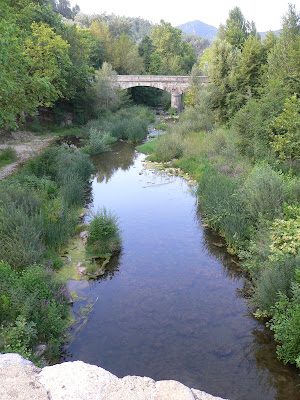 LLIBRE PRIMER: SANT LLORENÇ DE LA MUGA