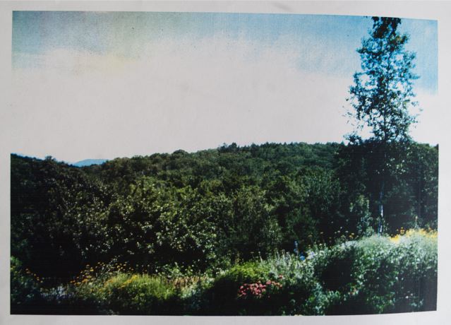 Flower Hill Farm: FLOWER HILL FARM BEGINNINGS