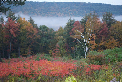 Flower Hill Farm: Soft Focus Fall Landscape