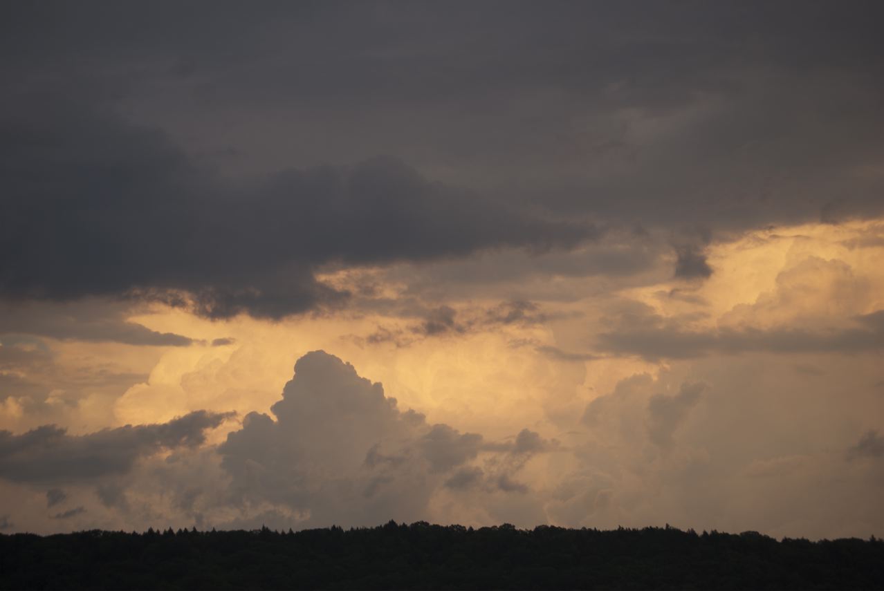 Flower Hill Farm: Remembering Olden Skies on Skywatch Friday