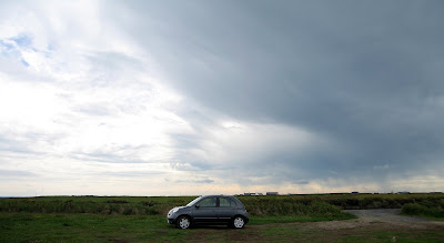 Carol's View of the World: Ireland 2008