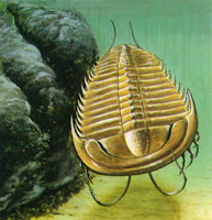 El Ordovicico - Mundo Prehistorico