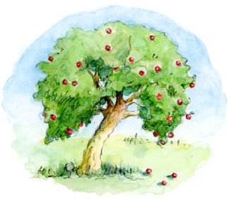 Early Childhood Literacy Project: Seasonal Changes: The Apple Pie Tree.