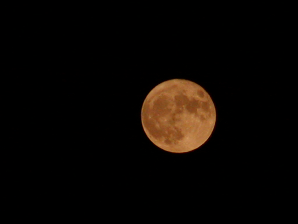 Early Childhood Literacy Project: Seasonal Changes: Hello, Harvest Moon.