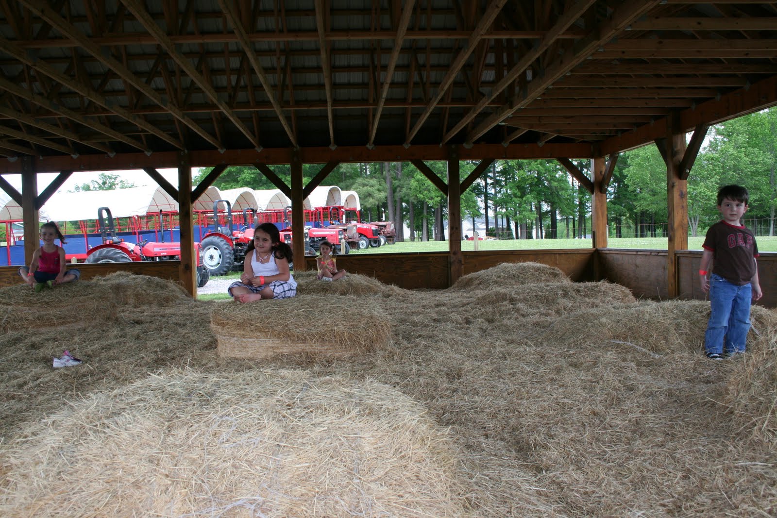 Sydney's Adventures: Fun Day at Hill Ridge Farms