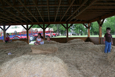 Sydney's Adventures: Fun Day at Hill Ridge Farms