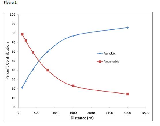 The Association Of Rowing Coaches, South Africa: Training for Intense ...