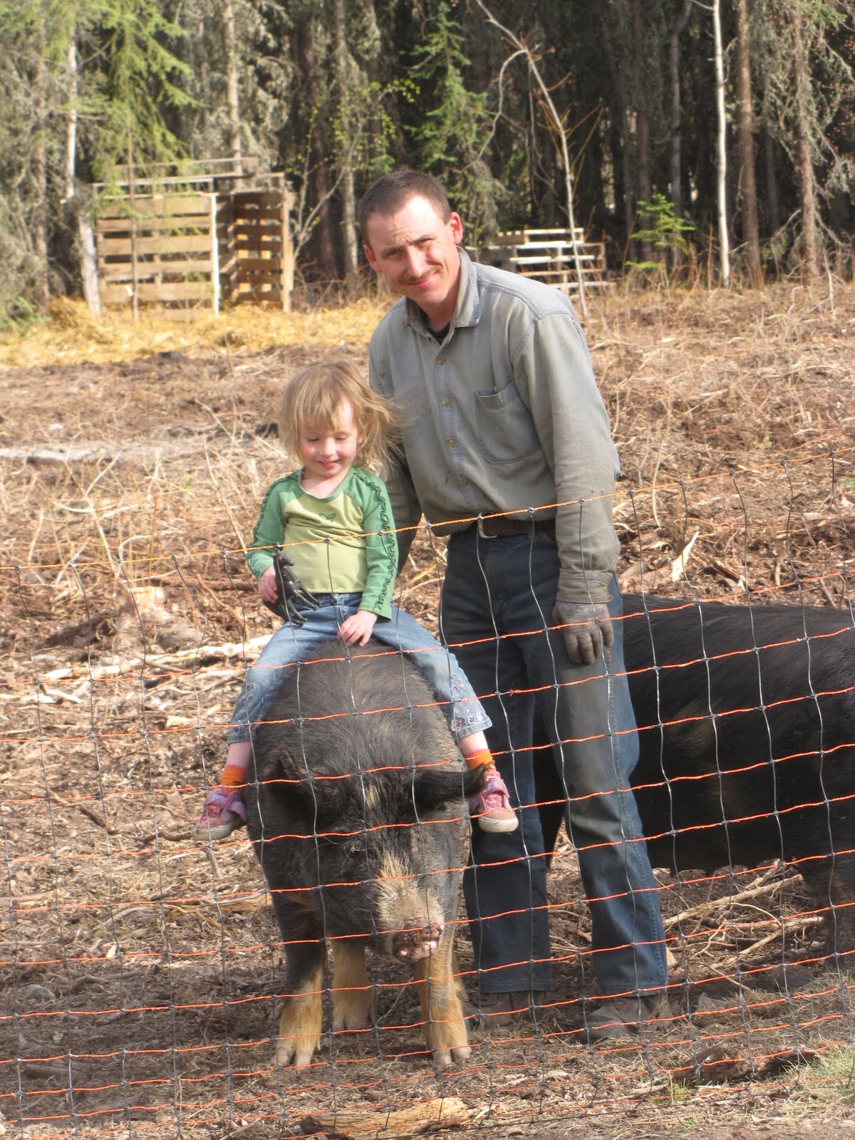 The Griggs Family Homestead: LIttle Girls On BIG Girls :) Pig Riding at ...