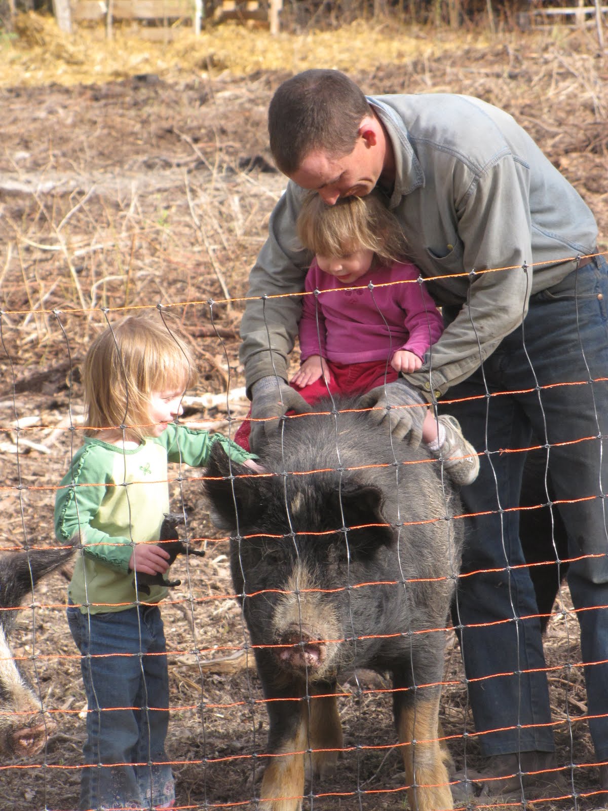 The Griggs Family Homestead: LIttle Girls On BIG Girls :) Pig Riding at ...