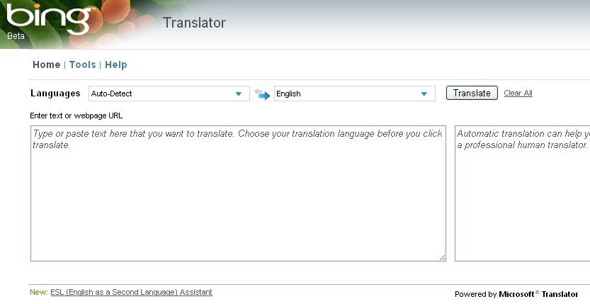 Basit's tech bin: Translation as a Service: Microsoft; Bing Translator ...