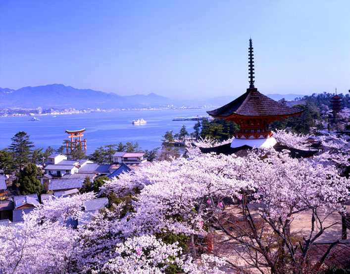 Asadal: Japan and Asian Studies