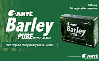 BARLEY PURE: Good For Your Health: BENEFITS FROM BARLEY PURE