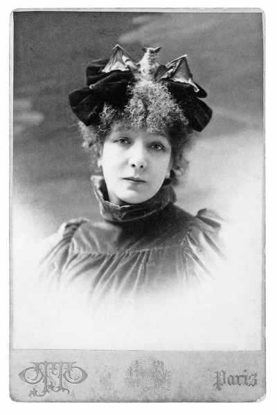 Fire Hot Trends News: Book Report: Sarah Bernhardt -- The First Cause Celeb