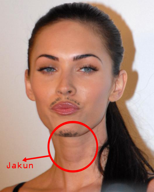 Obrolan Pagi Hari: Megan Fox Ternyata Seorang Laki - Laki