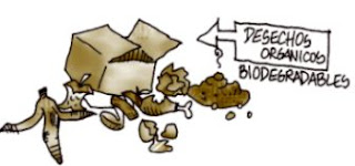 Conoce la basura biodegradable y como se clasifica