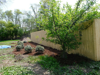 ~ BURGH BEES COMMUNITY APIARY ~: April 2010