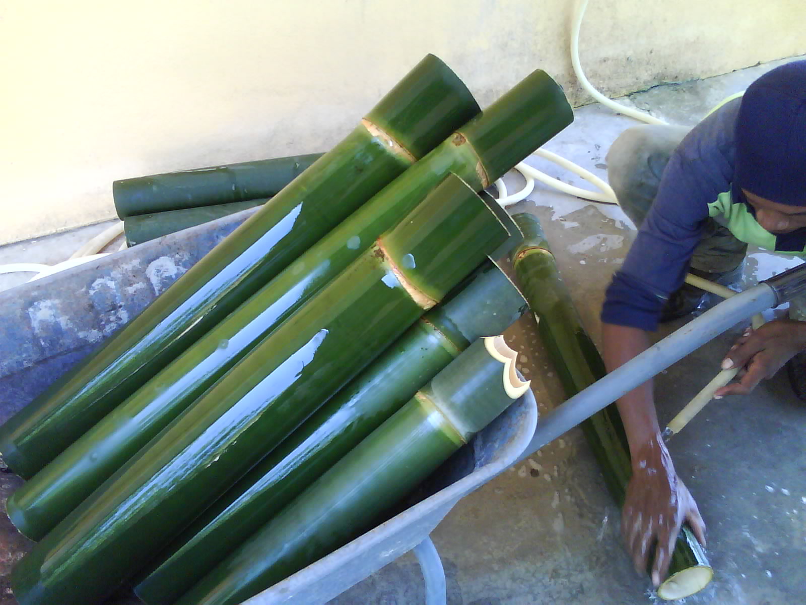 manlaksam....setalam batu seraup emas: Masak nasi dalam buluh.