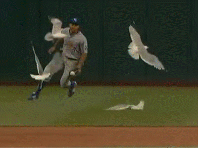 Cleveland Indians Chatter: Flock Of Seagulls with One Last Hit